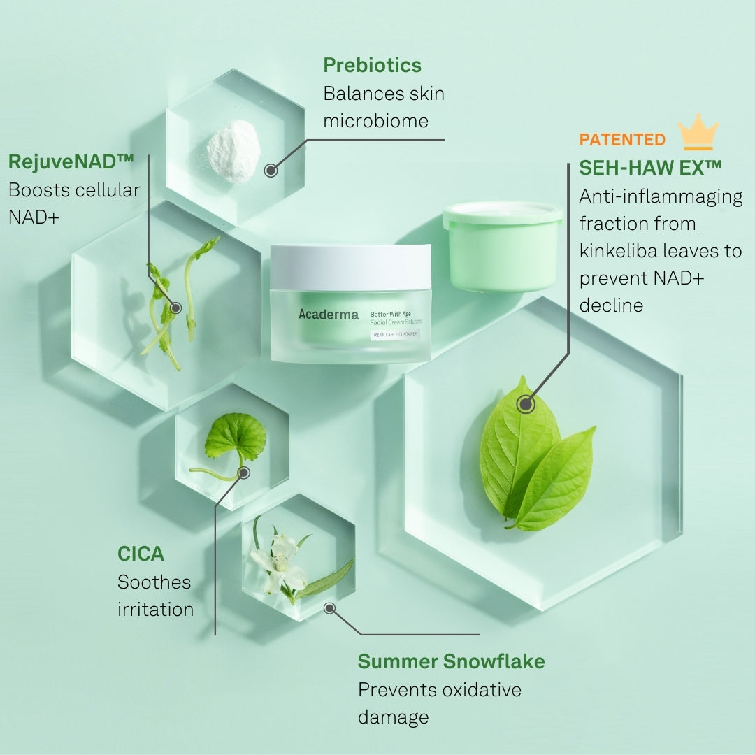 Better With Age Revival Light Cream NAD+ – Acaderma
